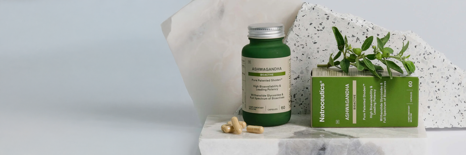 Wellness Tree Limpopo | Shop Health Products Online